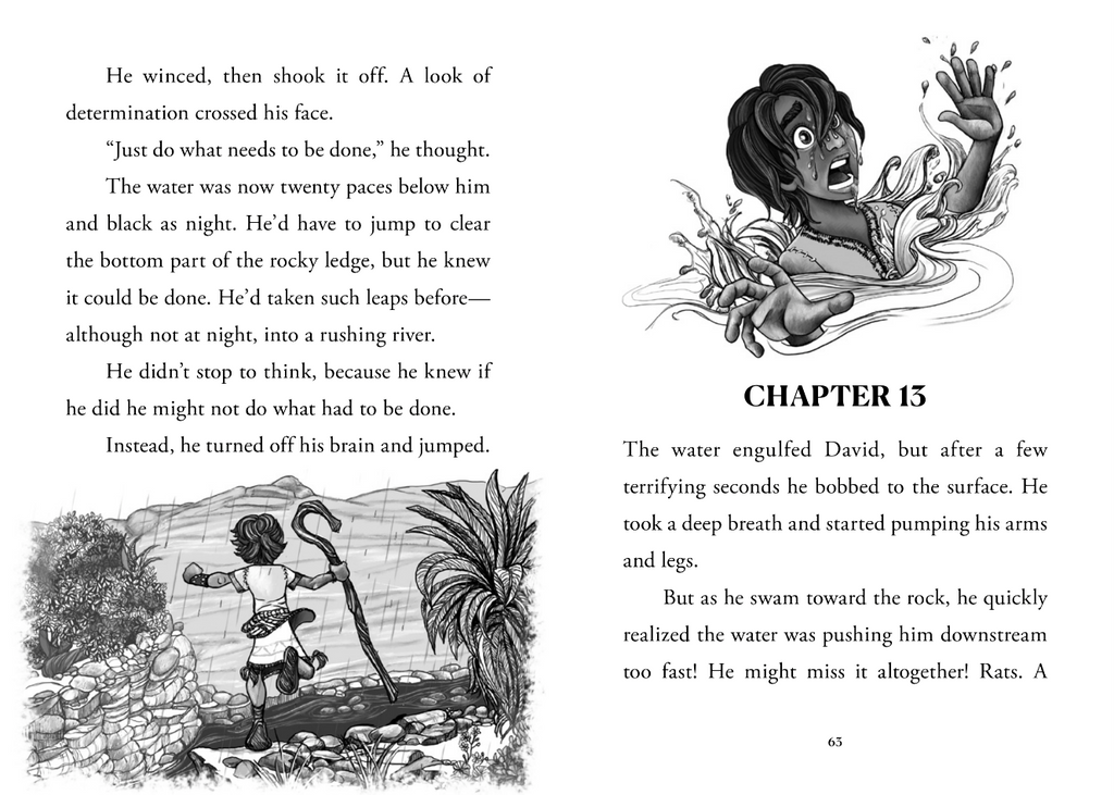 Young David: Shepherd Chapter Book – Minno