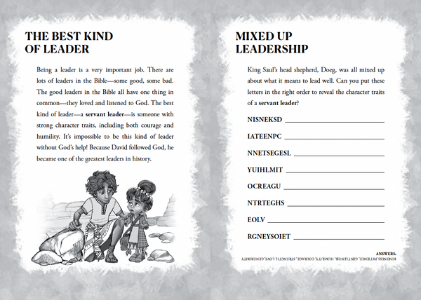 Young David: King Chapter Book – Minno