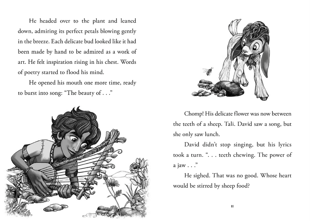 Young David: Poet Chapter Book – Minno